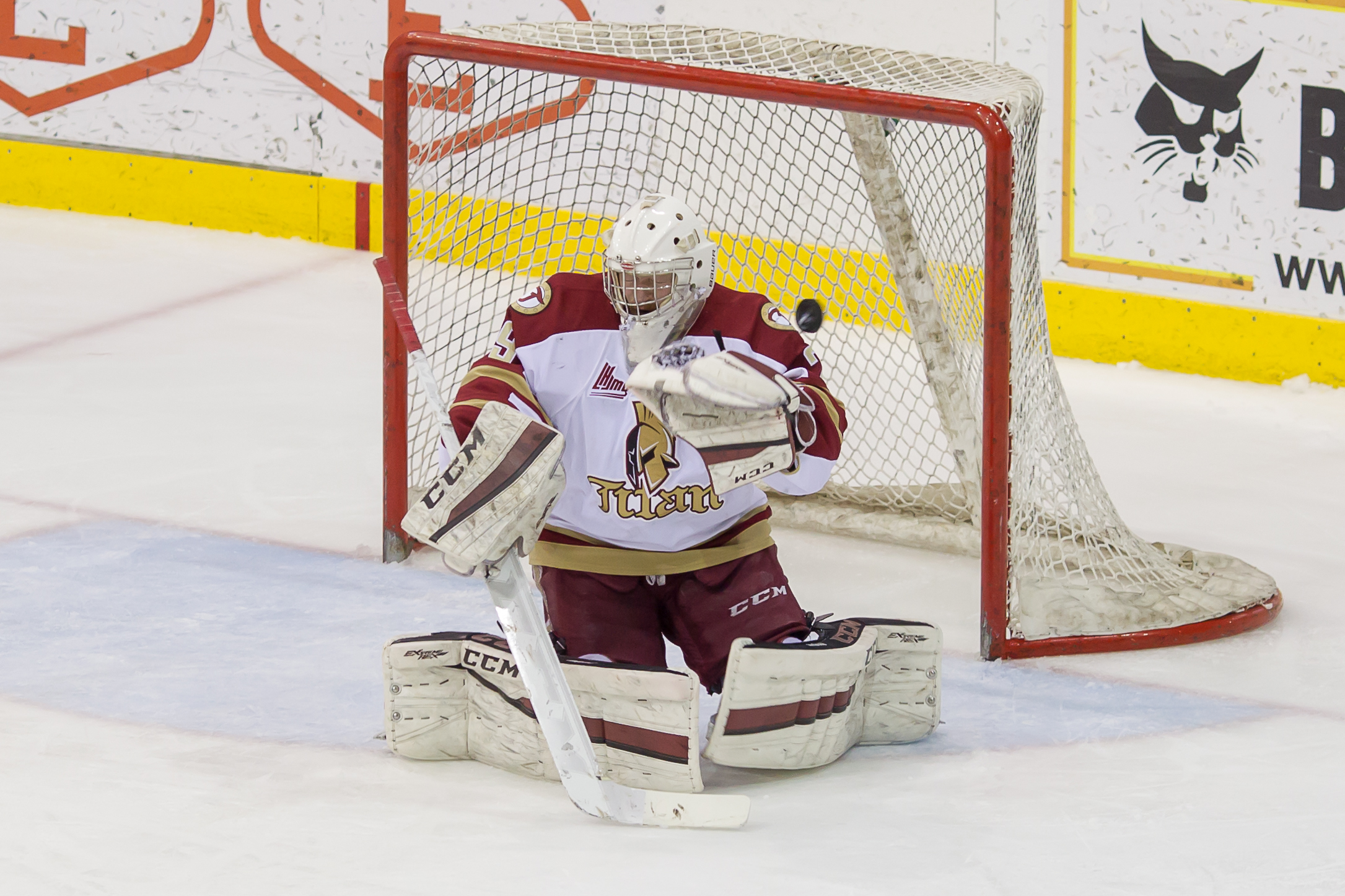 Le Titan complète son alignement - Titan d'Acadie-Bathurst