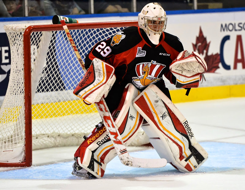 Steve Ahern va remplacer Marco Pietroniro pour les quatre prochains ...