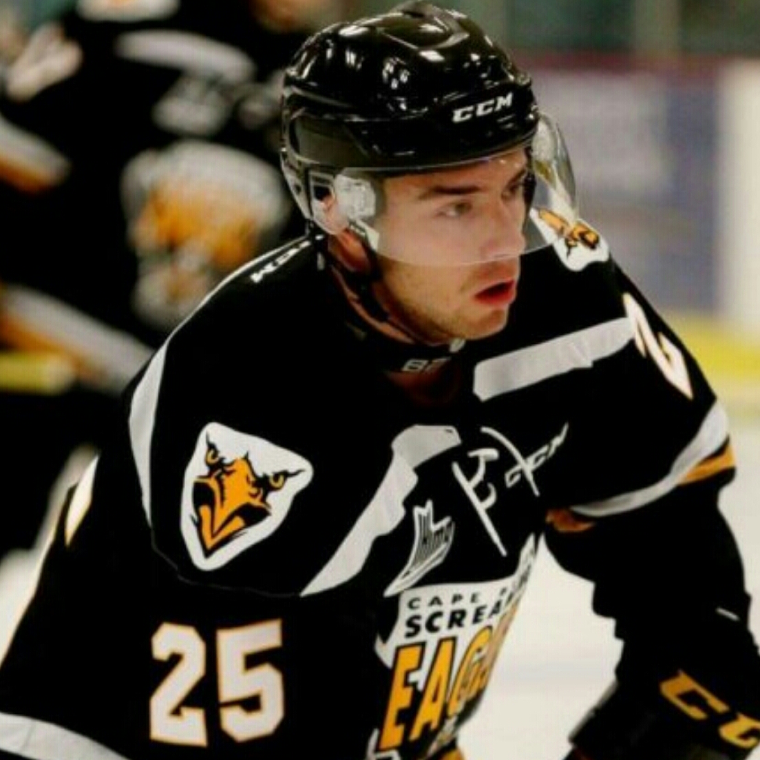 Eagles Sign Mizzi - Cape Breton Eagles