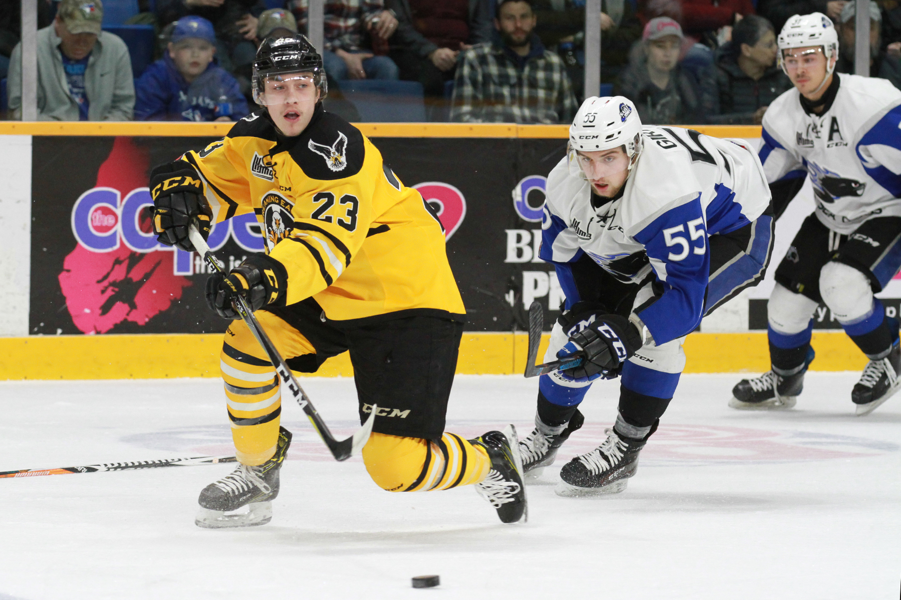 Eagles Open Final Regular Season Weekend With Victory Over Sea Dogs ...