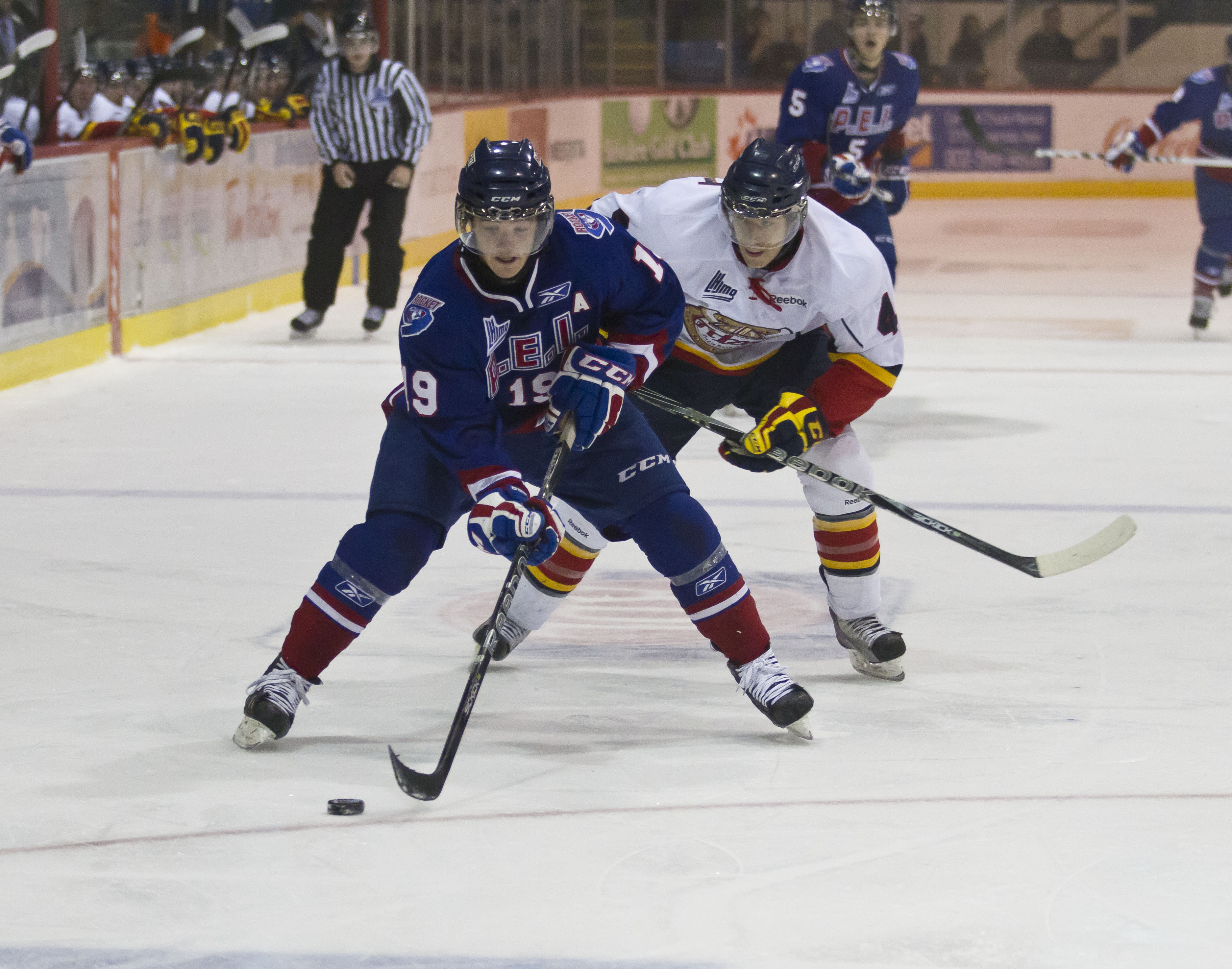 Rocket comeback falls short to Titan - Charlottetown Islanders