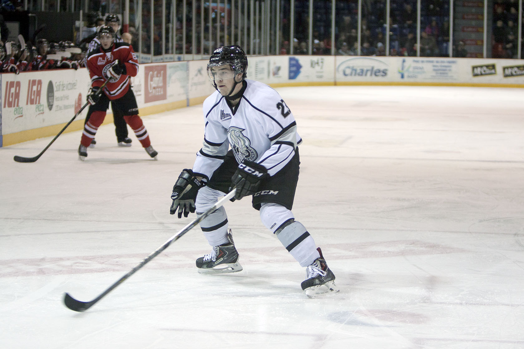 Islanders add Coughler - Charlottetown Islanders