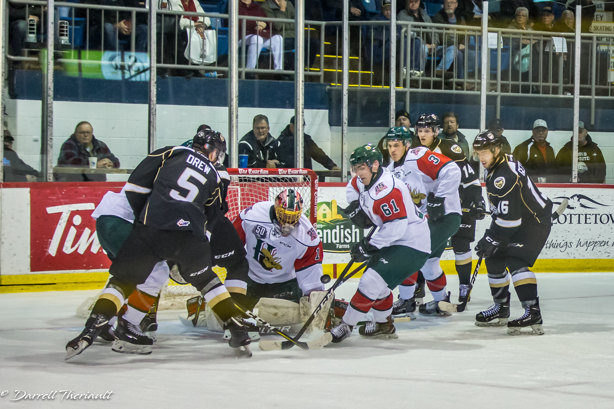 New-look Islanders welcome familiar face in Keith Getson and Mooseheads ...