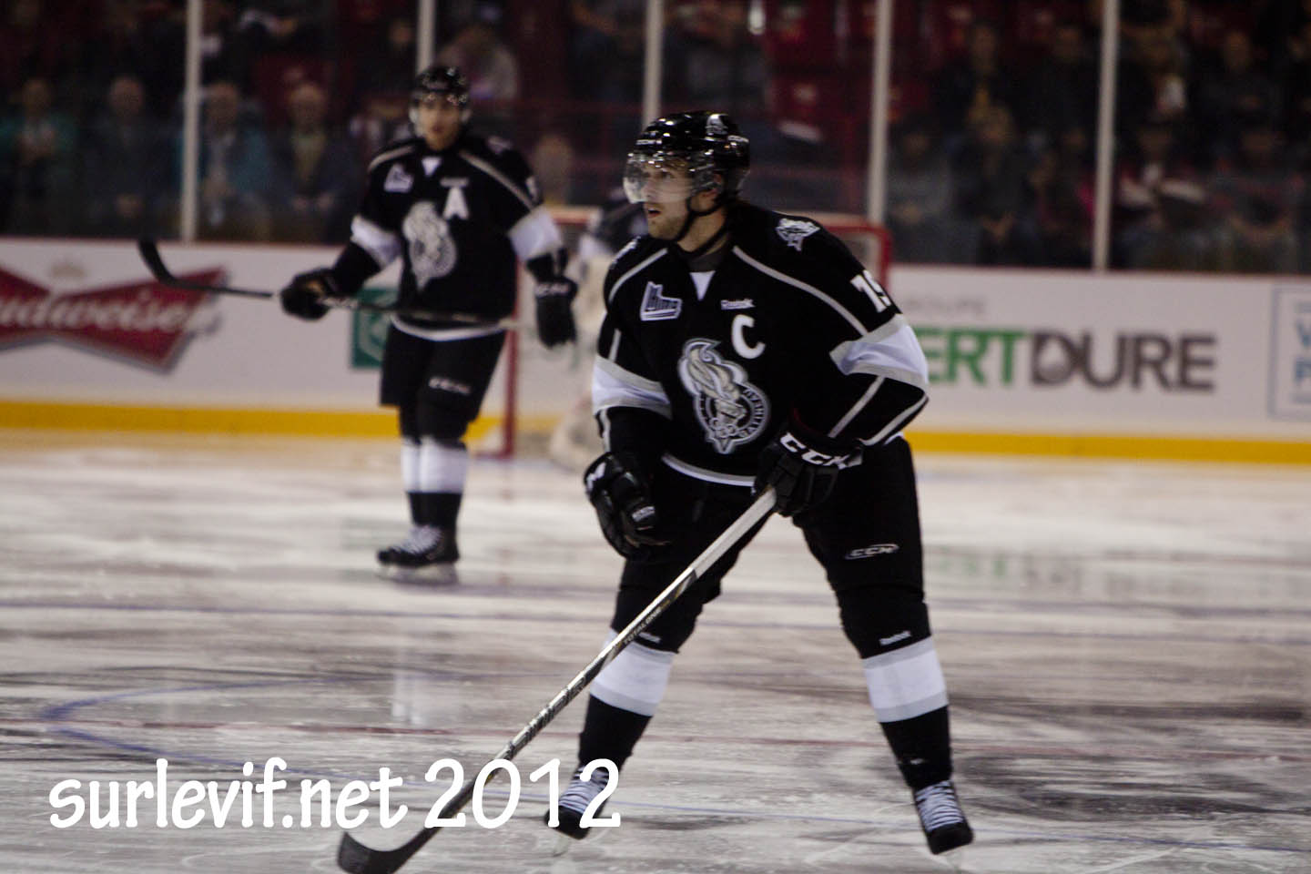 Une année de vérité pour Taylor Burke - Les Olympiques de Gatineau