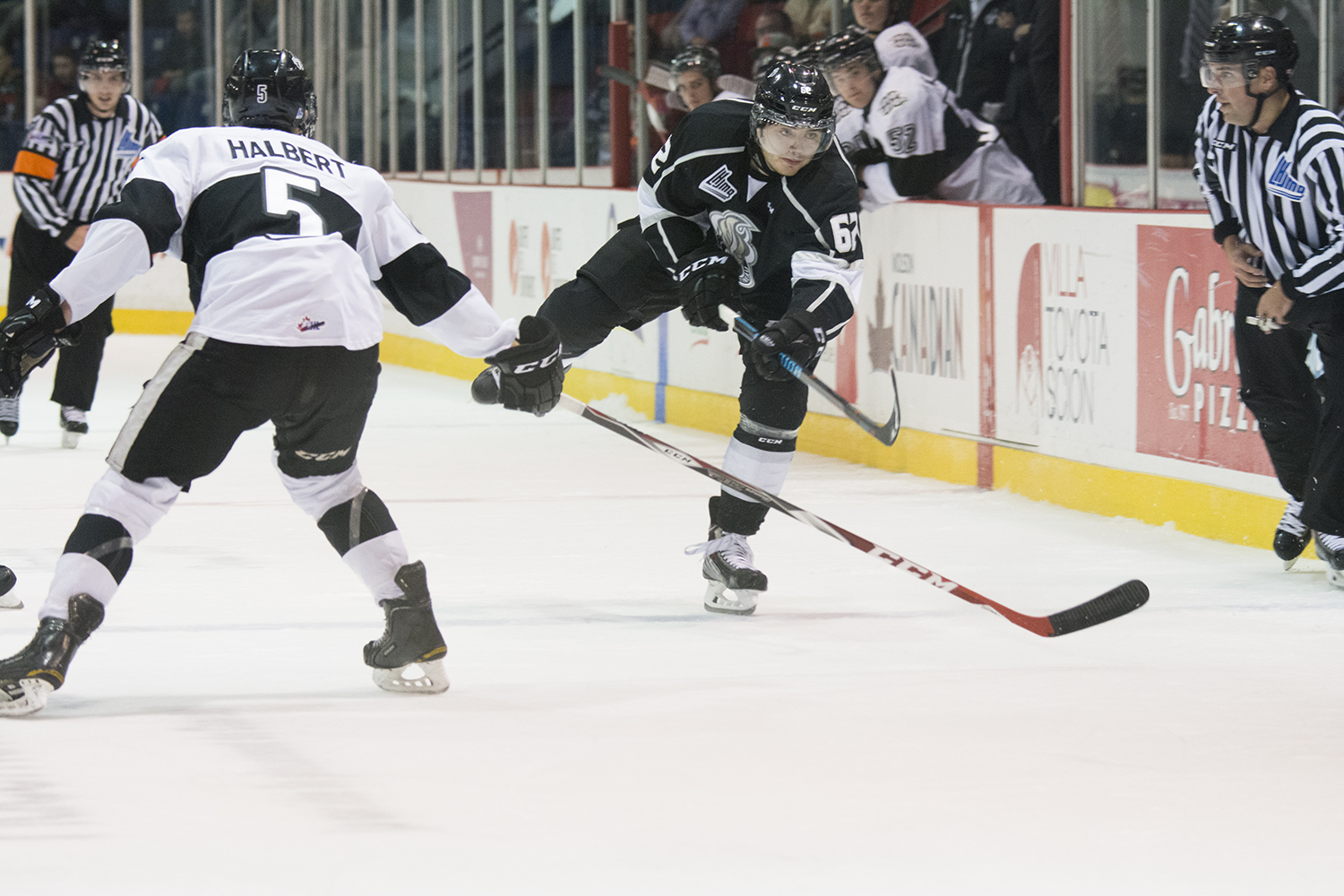 Les Olympiques déclassés - Les Olympiques de Gatineau