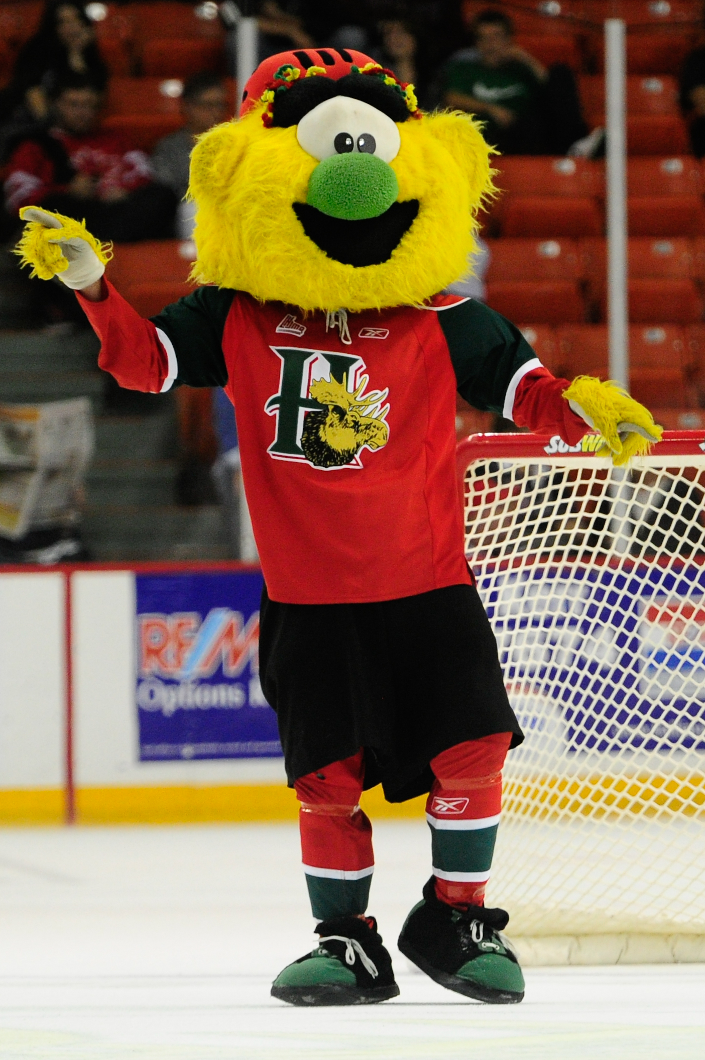 Looking for a Mascot - Halifax Mooseheads