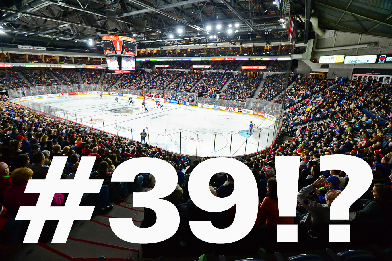 Halifax Mooseheads Home Game Ranked 39th Best Fan Experience in North ...