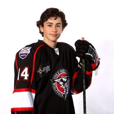 QMJHL Entry Draft Prospect Profiles - Halifax Mooseheads