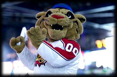 Wild Willie - Moncton Wildcats