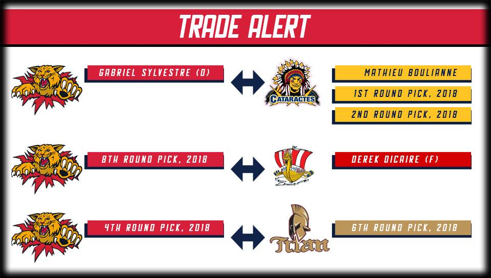 Wildcats open trade period by adding an impactful defenceman - Moncton ...