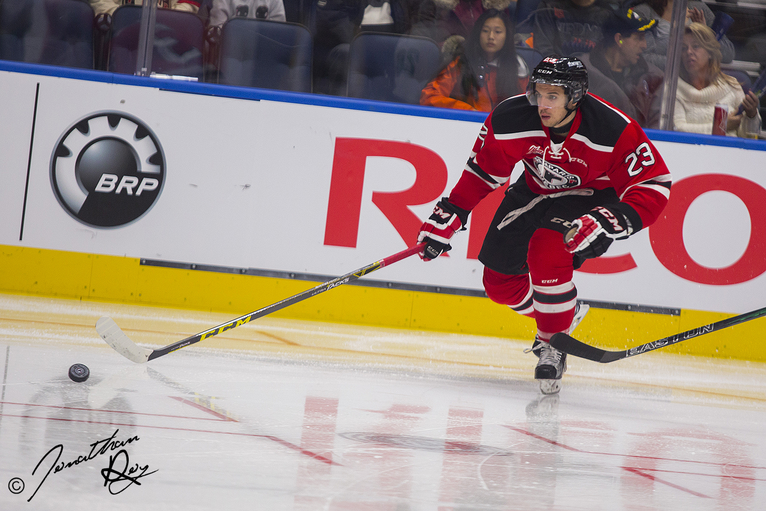 Massimo Carozza passe aux Screaming Eagles - Remparts de Quebec