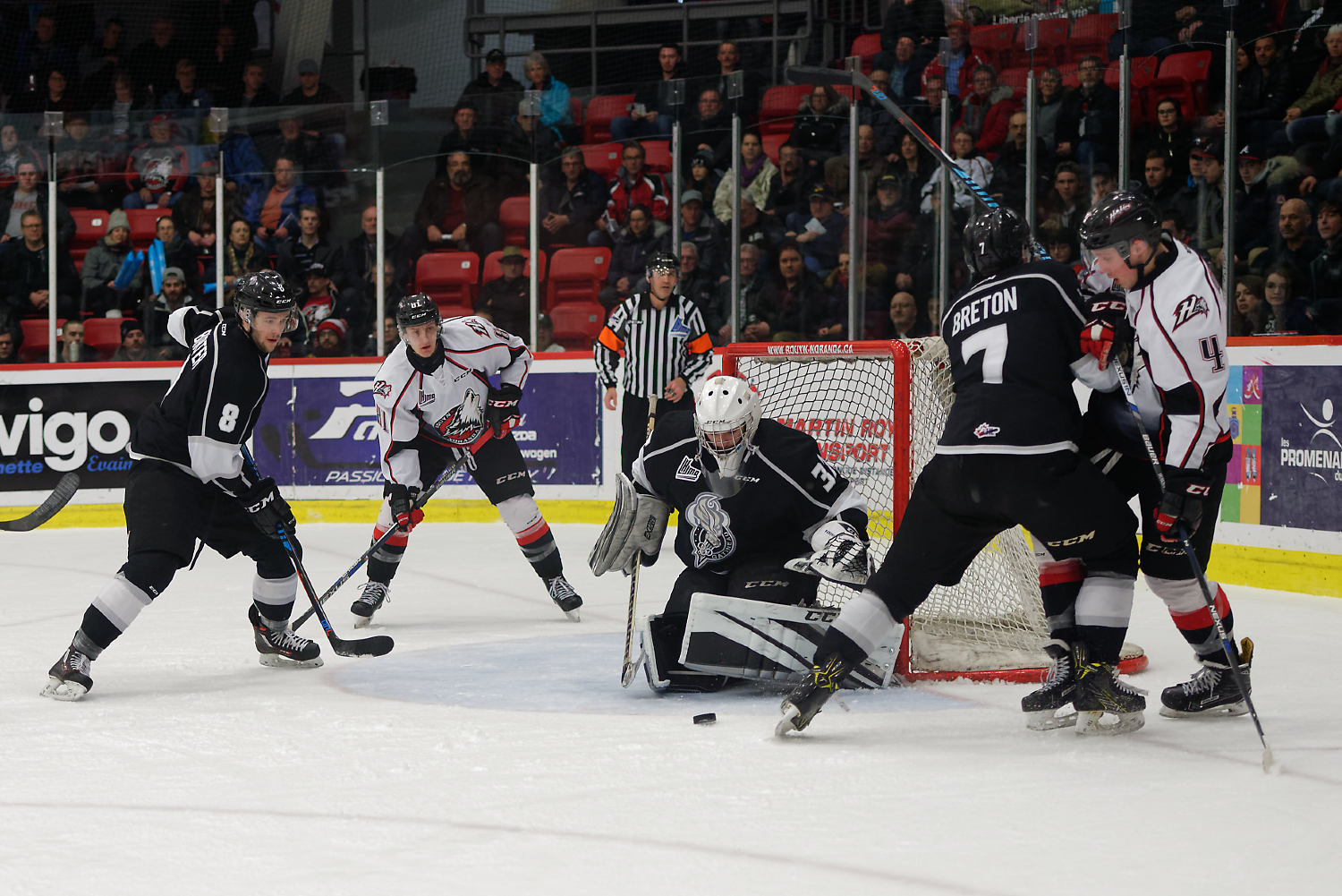 En images: 8 mars Huskies/Olympiques - Huskies de Rouyn-Noranda