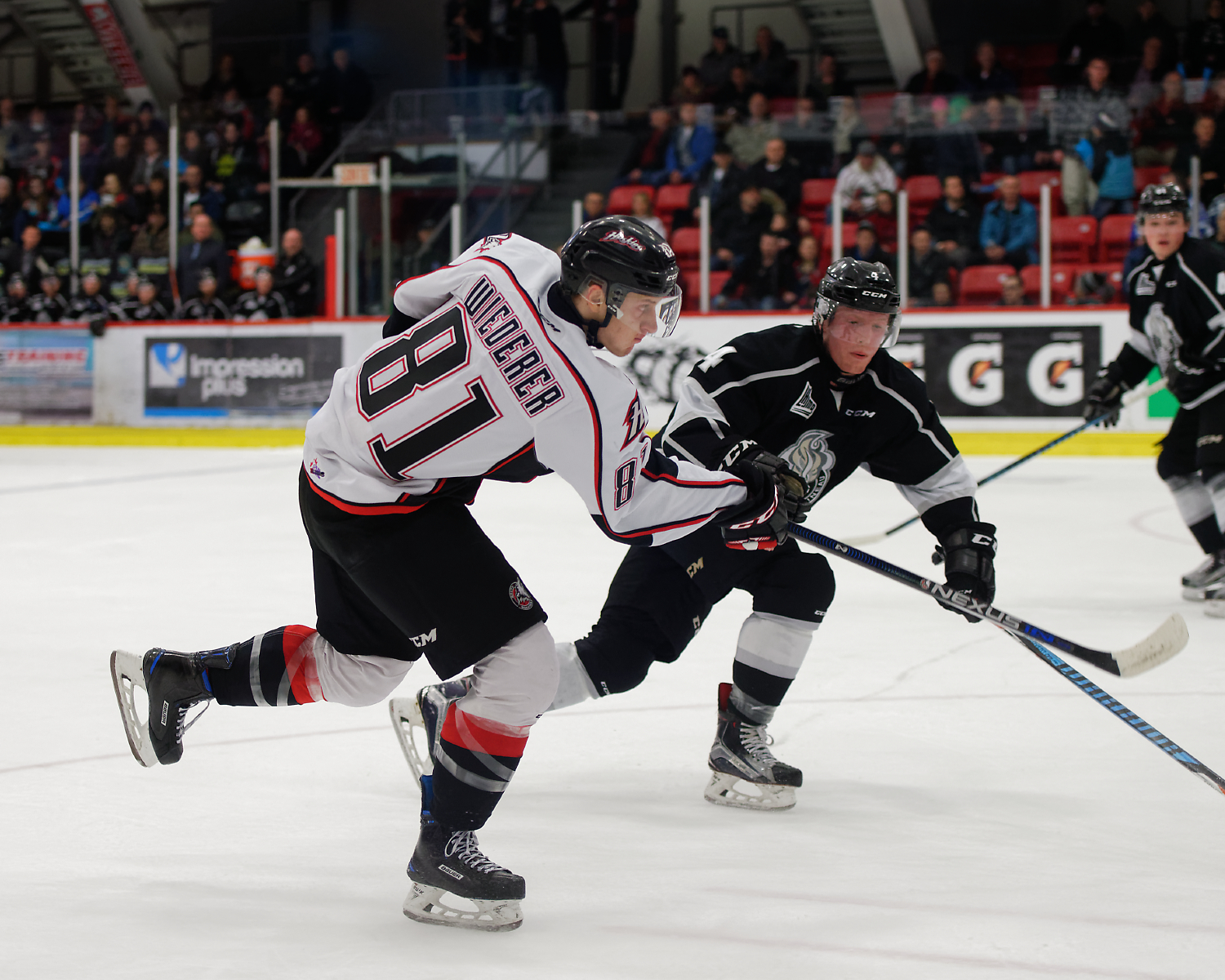 En images: 8 mars Huskies/Olympiques - Huskies de Rouyn-Noranda