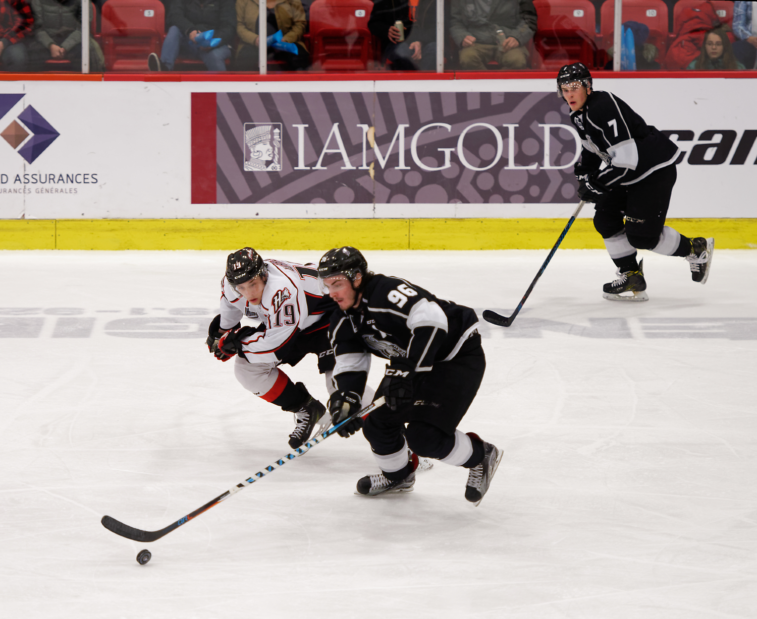 En images: 8 mars Huskies/Olympiques - Huskies de Rouyn-Noranda