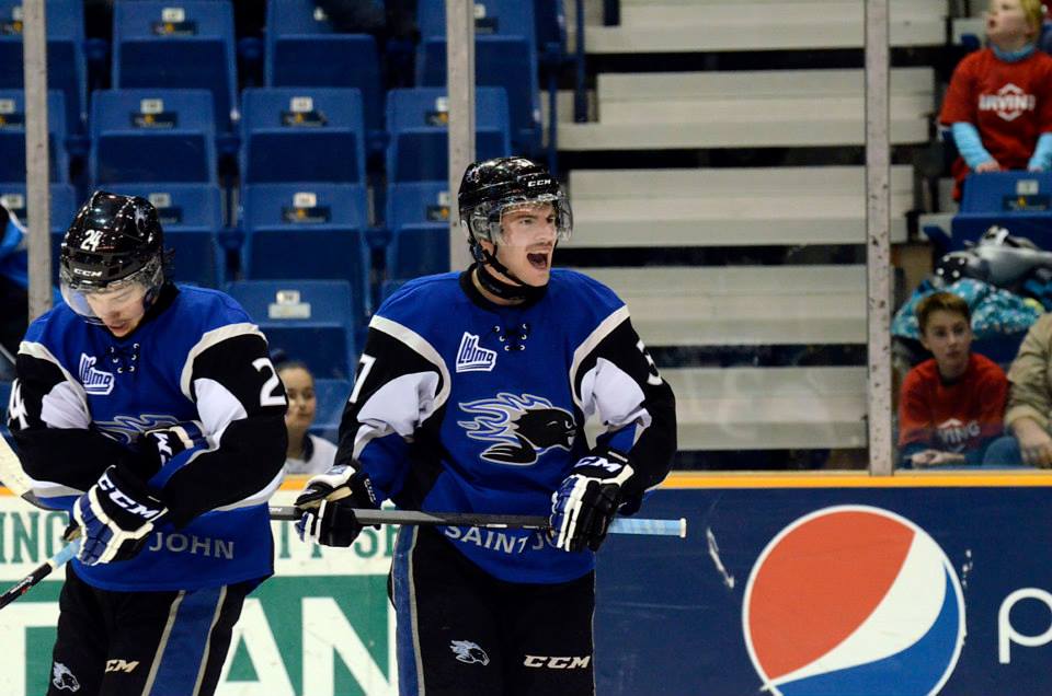 TIGRES SPOIL TEDDY BEAR TOSS NIGHT WITH SHUTOUT WIN OVER SEA DOGS ...