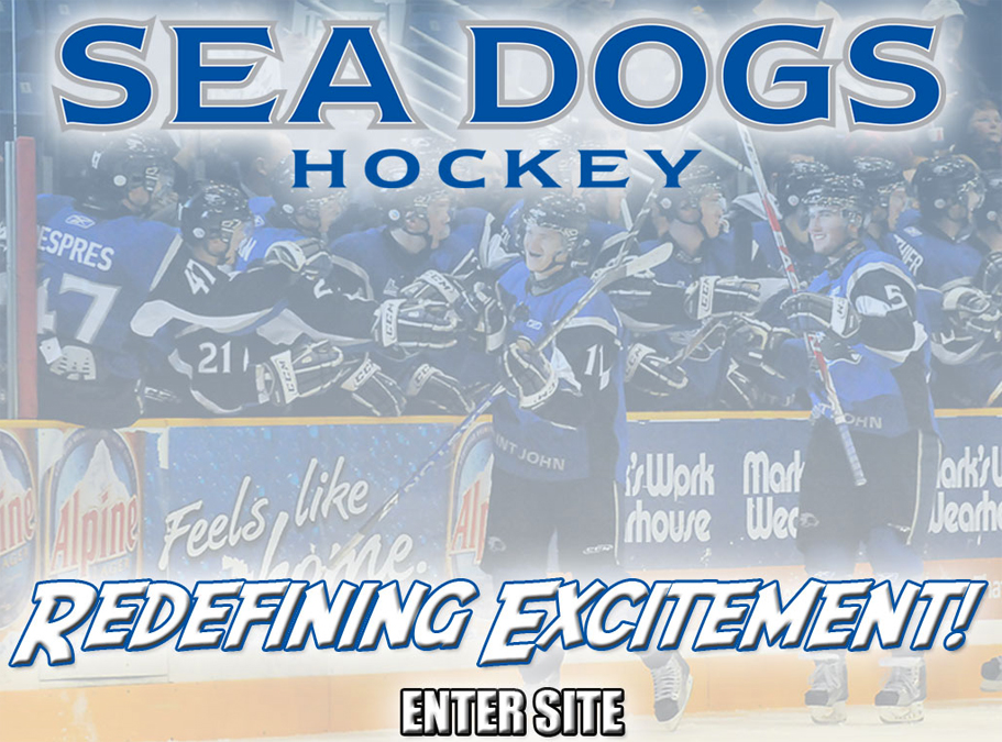 SEA DOGS COME BACK, BUT CAN'T FORCE OVERTIME - Saint John Sea Dogs