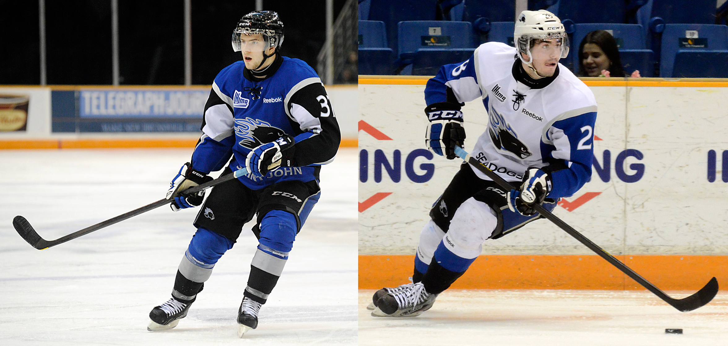 TWO SEA DOGS MAKE FINAL DRAFT RANKINGS - Saint John Sea Dogs