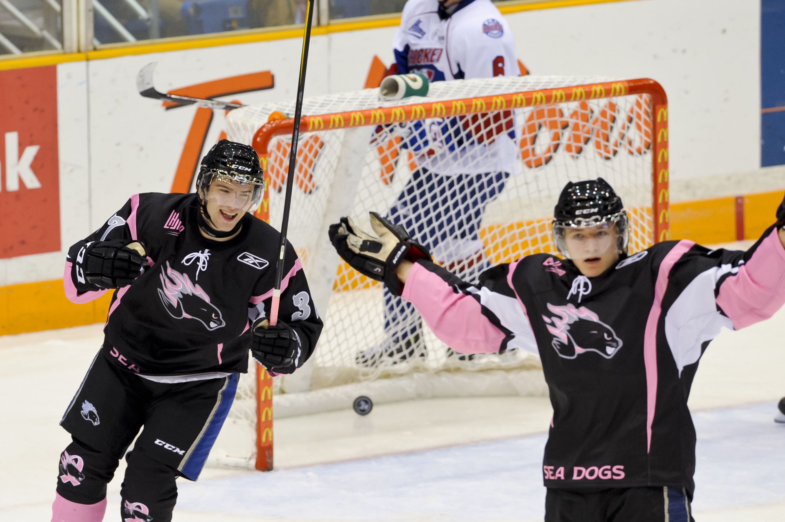 SEA DOGS TO HOLD PINK-IN-THE-RINK FRIDAY - Saint John Sea Dogs