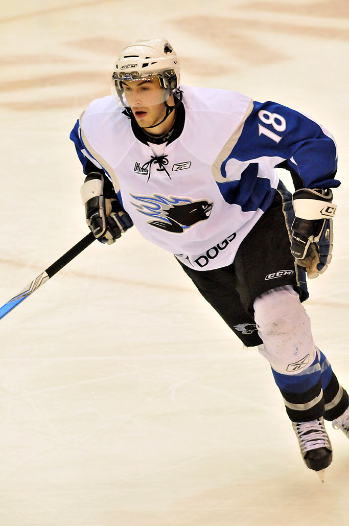 DOGS EDGE MOOSEHEADS TO EXTEND DIVISION LEAD - Saint John Sea Dogs