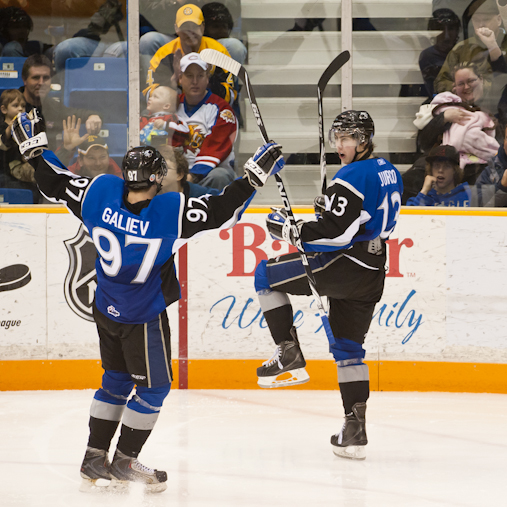 SEA DOGS SWEEP SEASON SERIES WITH WILDCATS - Saint John Sea Dogs