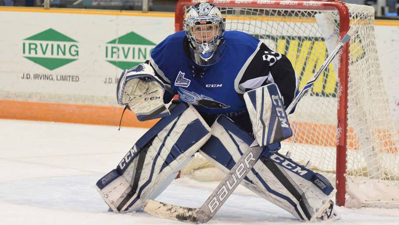 D'ORIO SIGNS ENTRY-LEVEL CONTRACT WITH PENGUINS - Saint John Sea Dogs
