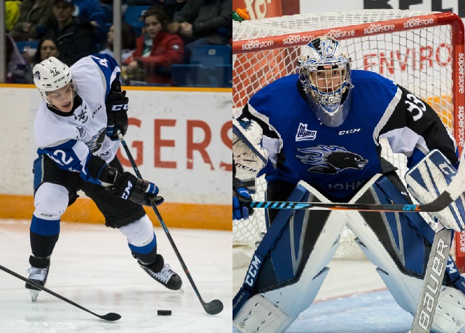 REID, D'ORIO WIN MONTHLY AWARDS - Saint John Sea Dogs