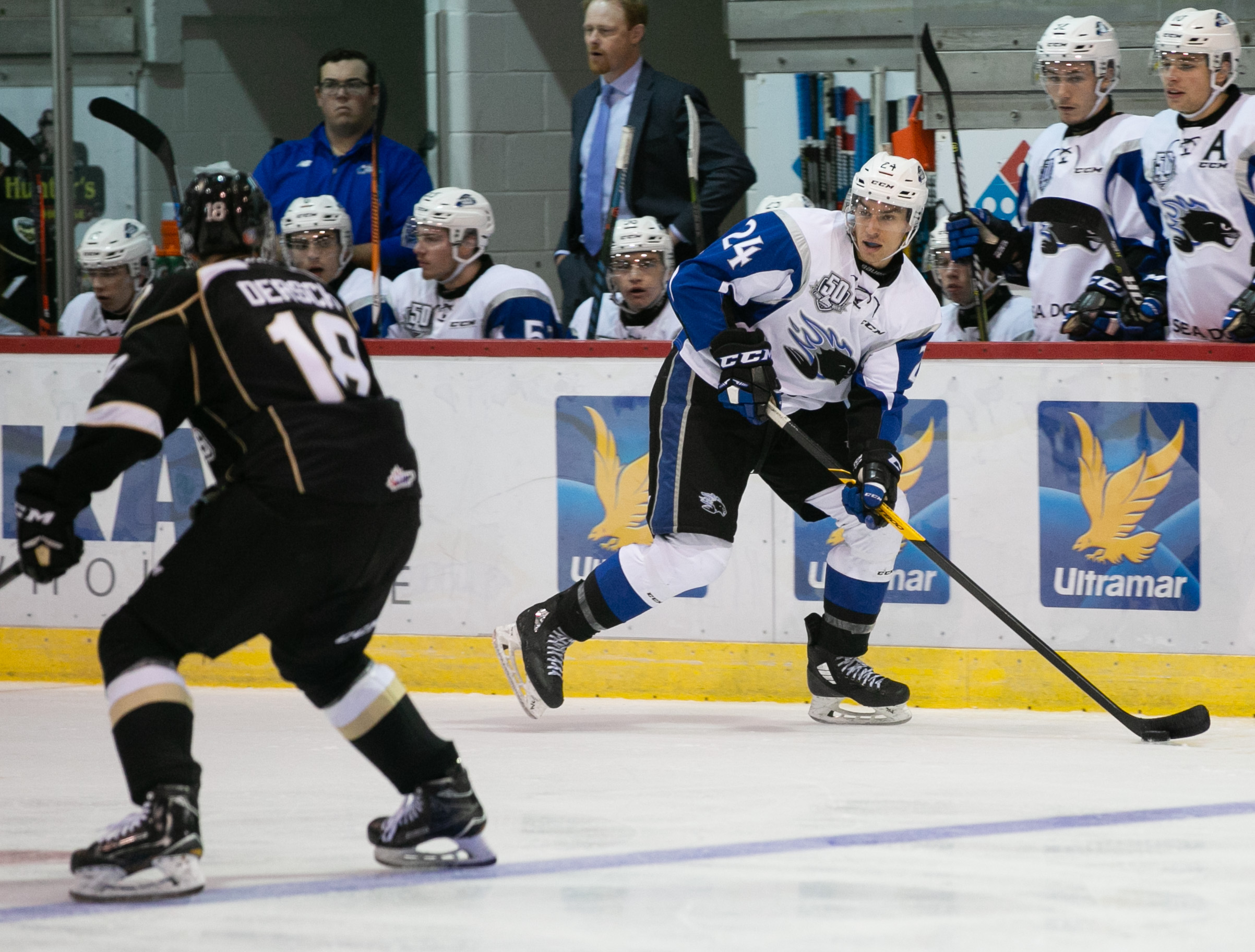 ISLANDERS EDGE DOGS; D'ORIO MAGNIFICENT - Saint John Sea Dogs