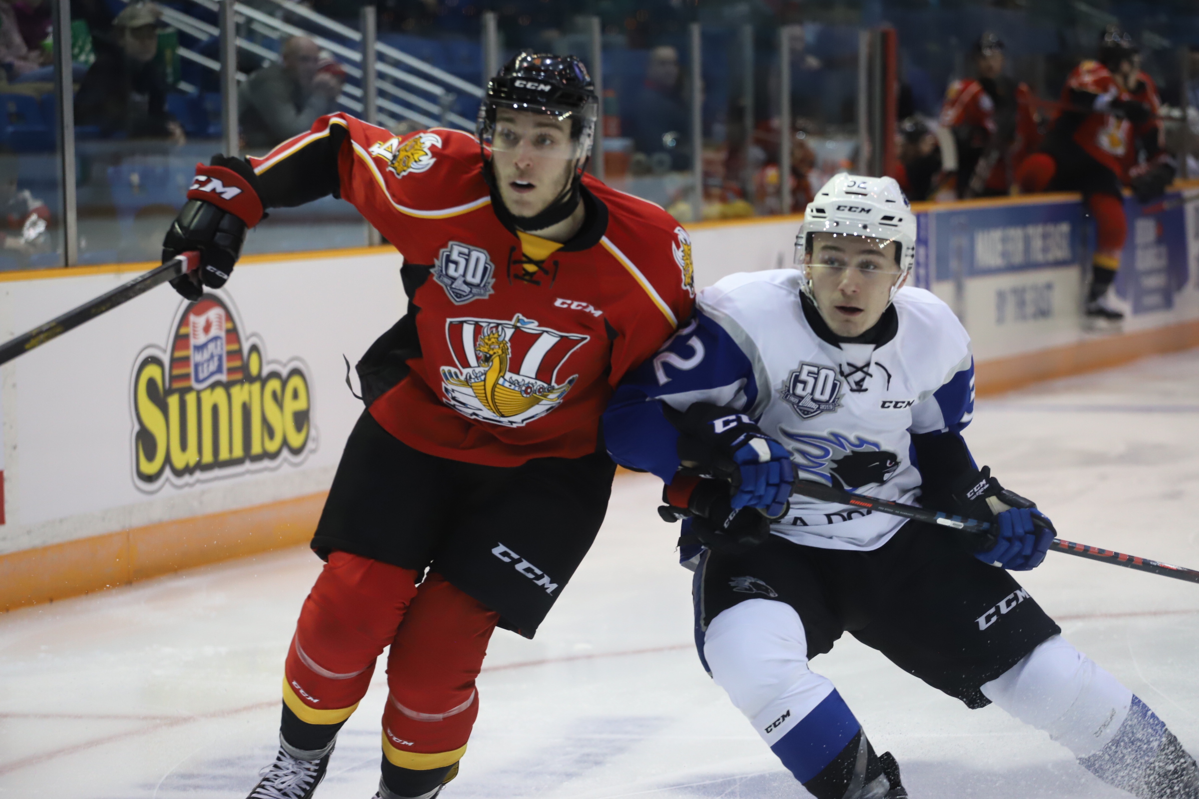 DRAKKAR EDGE SEA DOGS IN D'ORIO'S RETURN - Saint John Sea Dogs