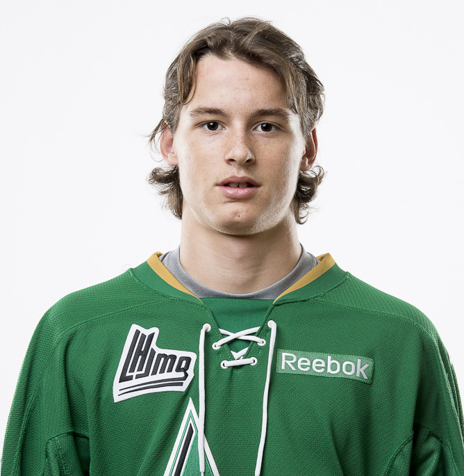 Les Huskies en ville ! - Foreurs de Val D'Or