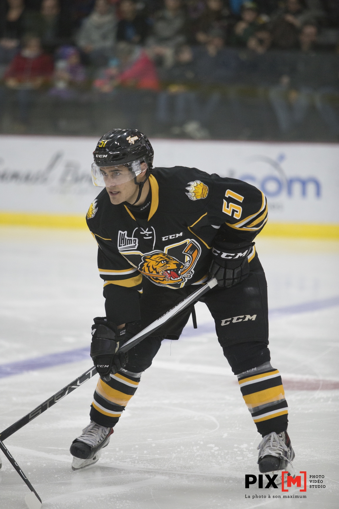 Beckstead suspendu 4 matchs - Les Tigres de Victoriaville