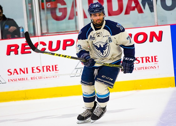 Chase Harwell se joint aux Tigres - Les Tigres de Victoriaville