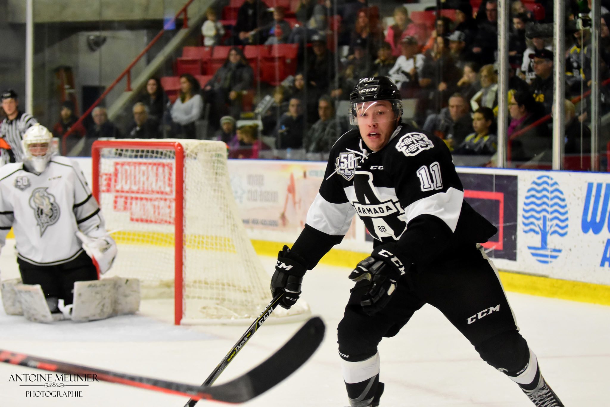 Les Tigres acquièrent Anthony Poulin ! - Les Tigres de Victoriaville