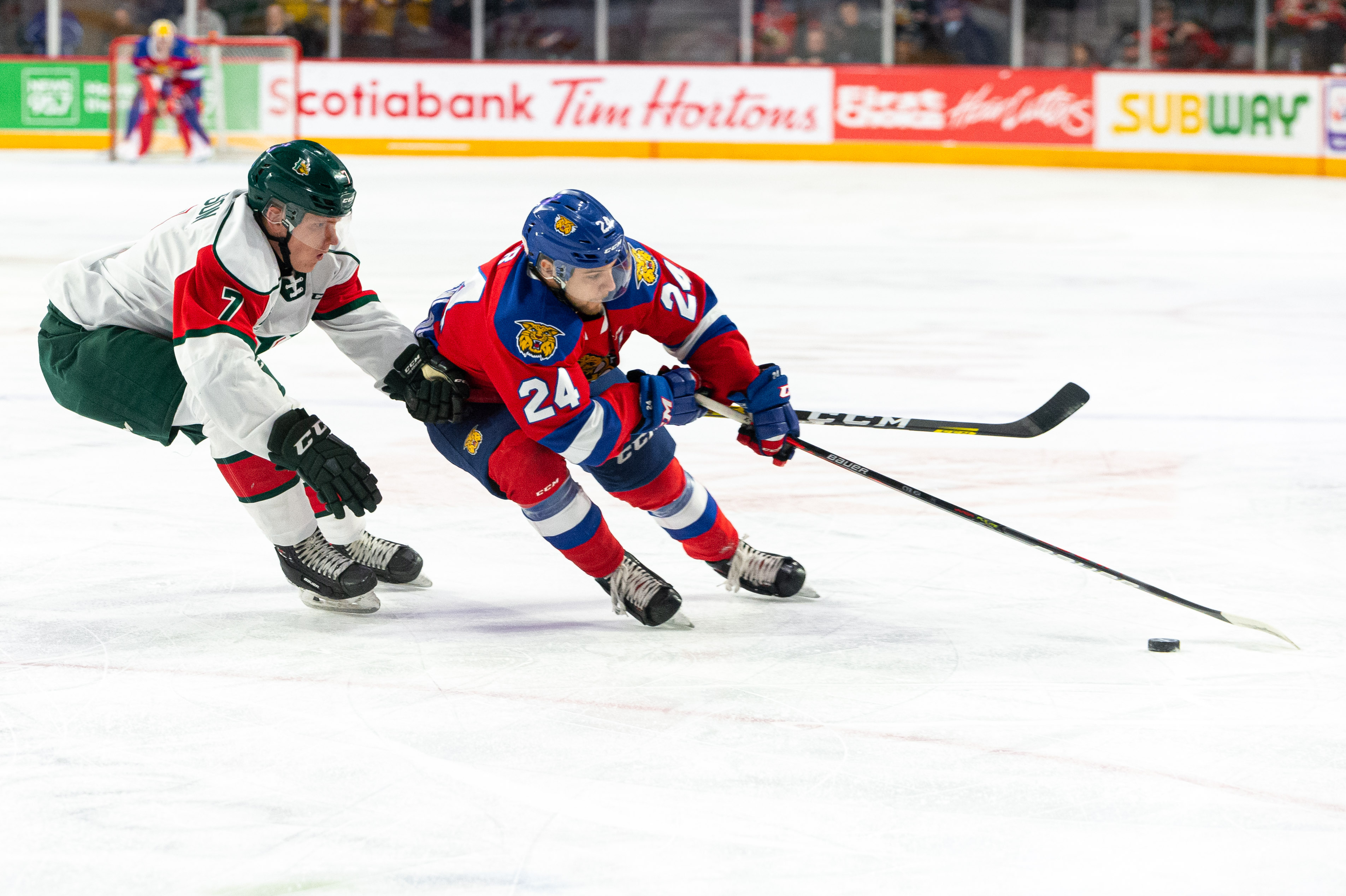 Moncton prend la mesure d'Halifax! Wildcats 5 Moosehead 1 - LHJMQ