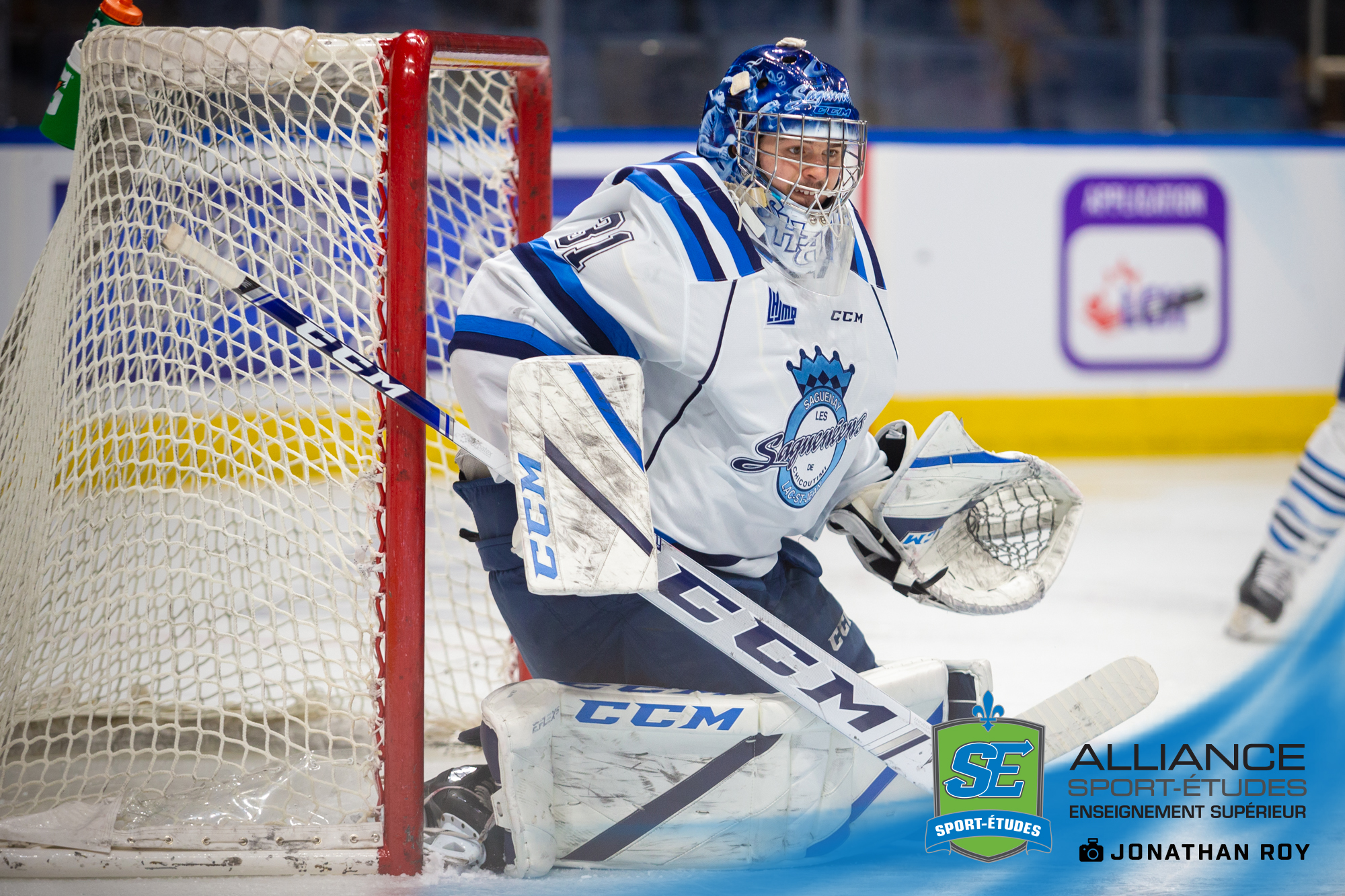 La Fondation Sport-Études récompense 19 joueurs-étudiants de la LHJMQ ...