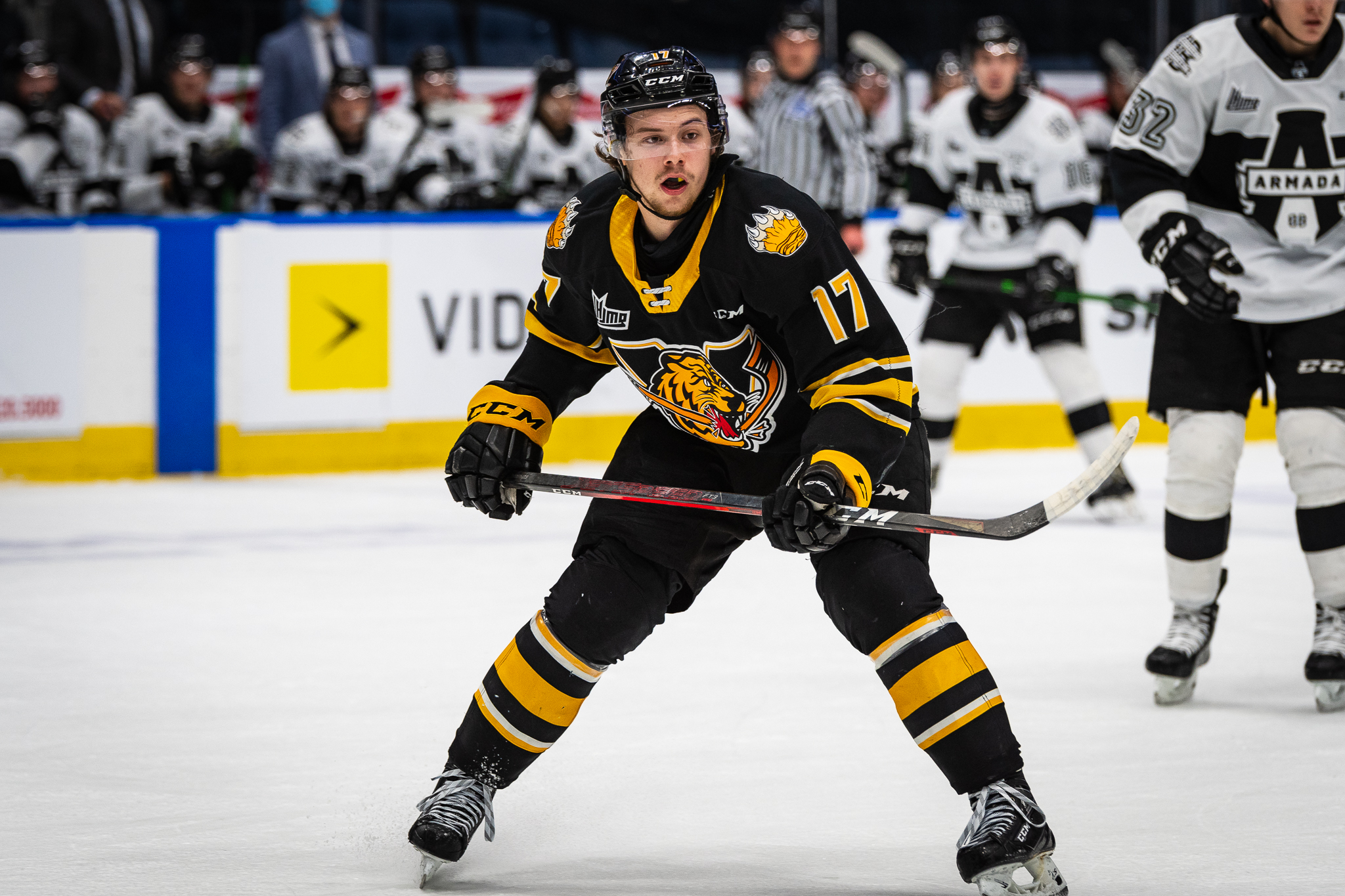Galerie PHOTOS | MATCH 5 | 15 mai contre Victoriaville - Armada BLB