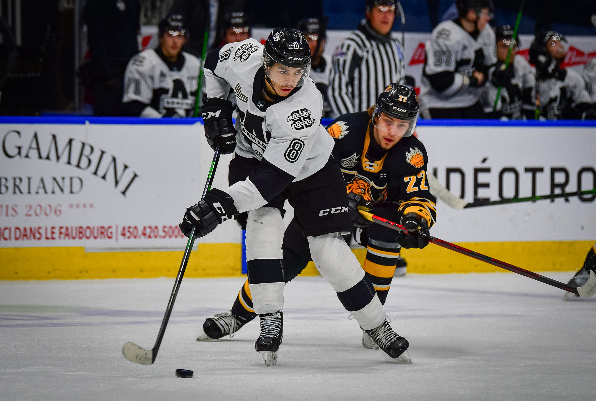 Galerie PHOTOS | MATCH 5 | 15 mai contre Victoriaville - Armada BLB