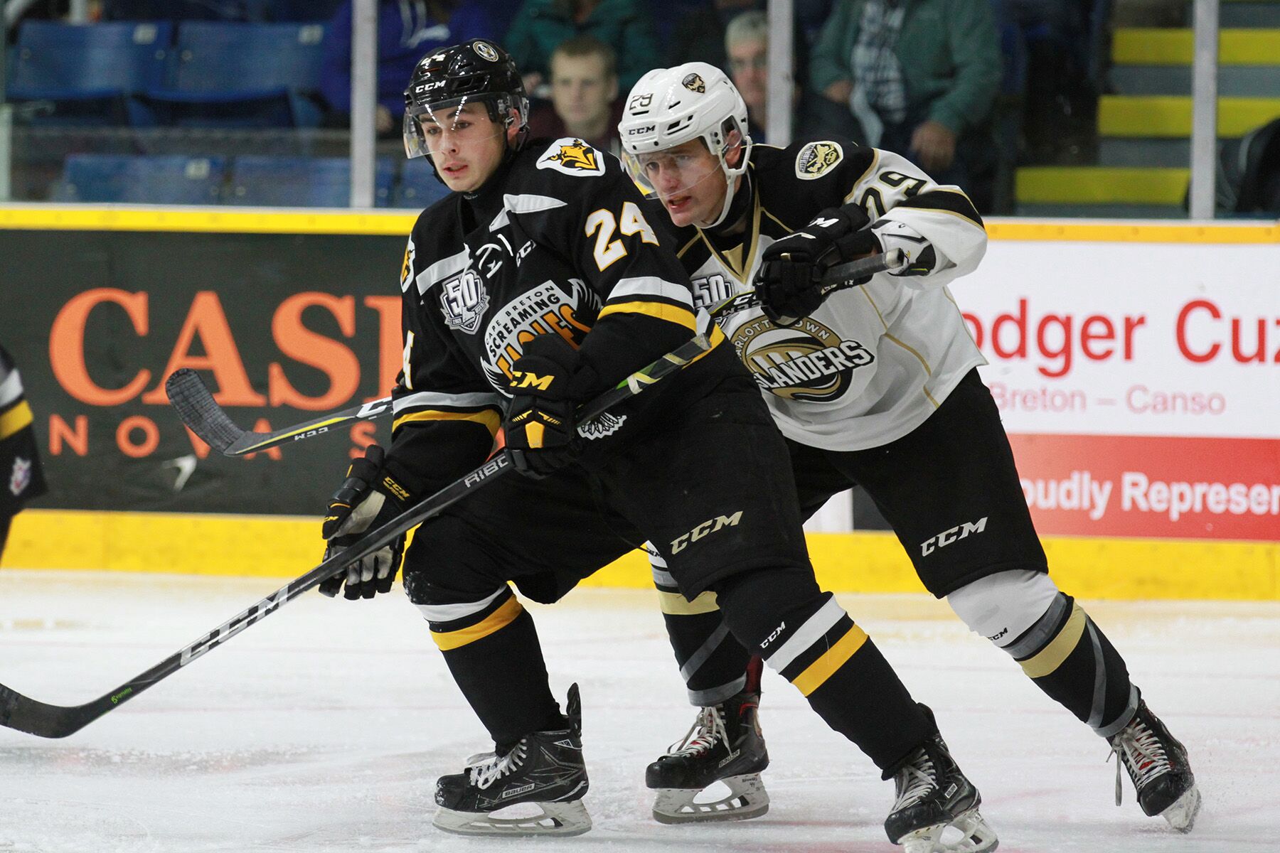 Eagles Set To Host Islanders On Fan Appreciation Night - Cape Breton Eagles