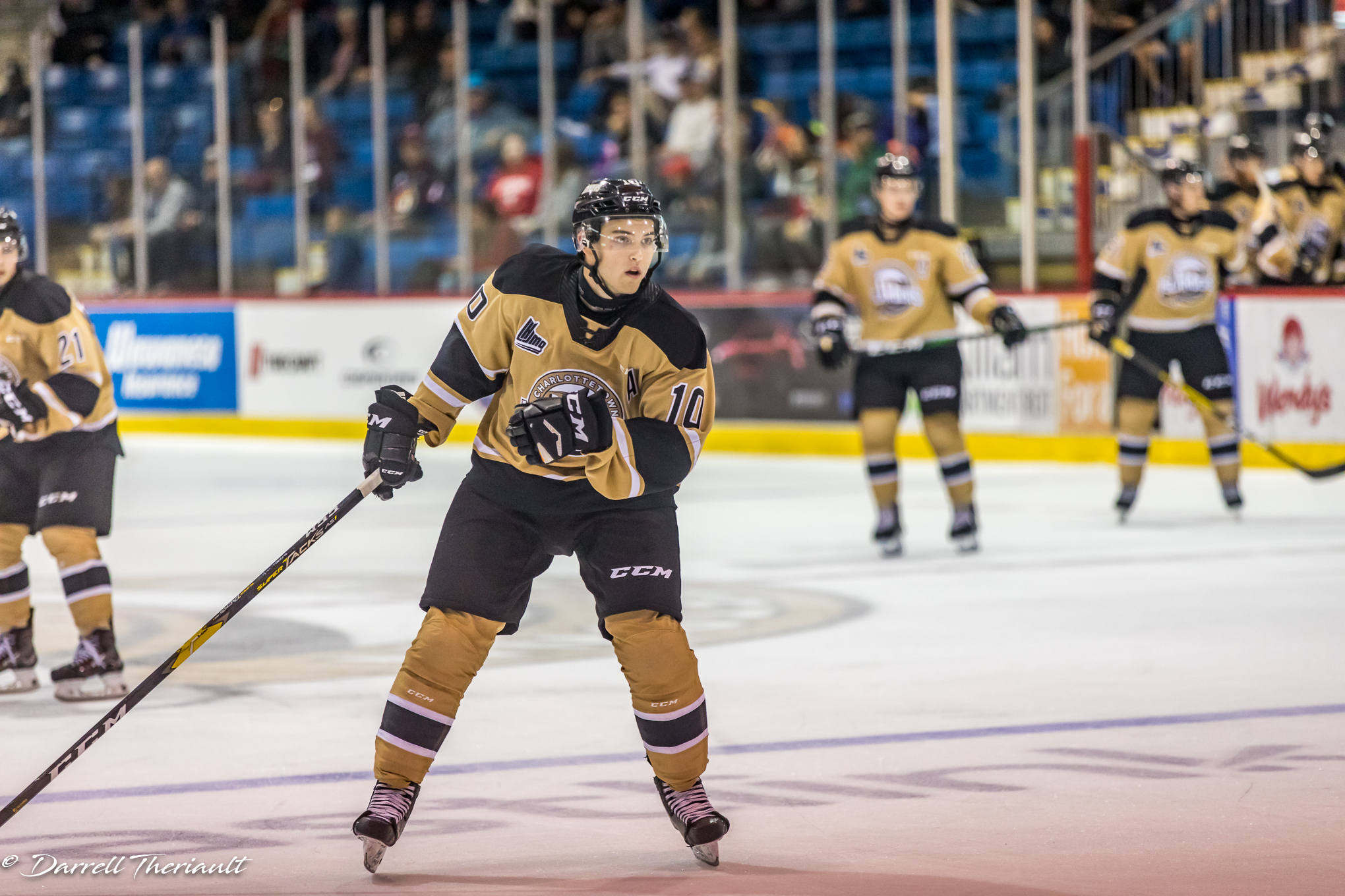 Islanders and Sea Dogs clash for first time this season - Charlottetown ...