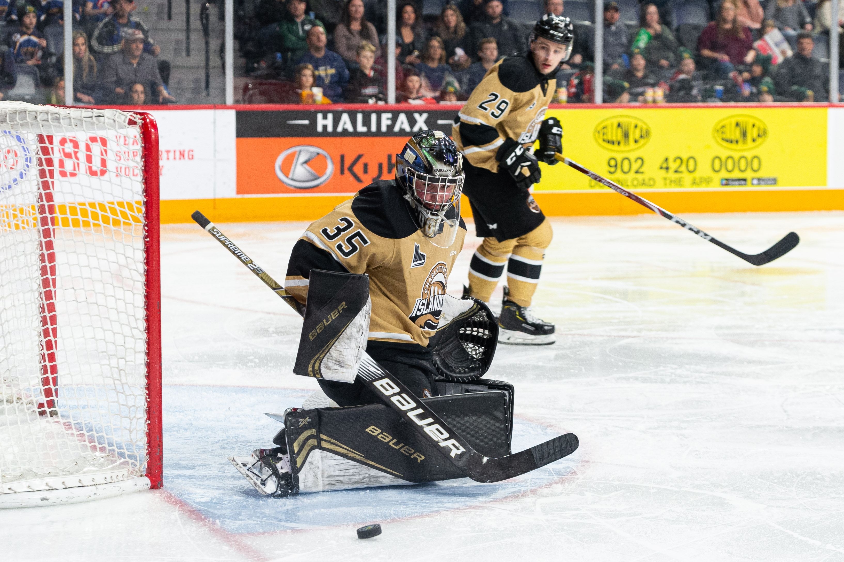 Offense swings in favour of Islanders, who net seven on Mooseheads ...