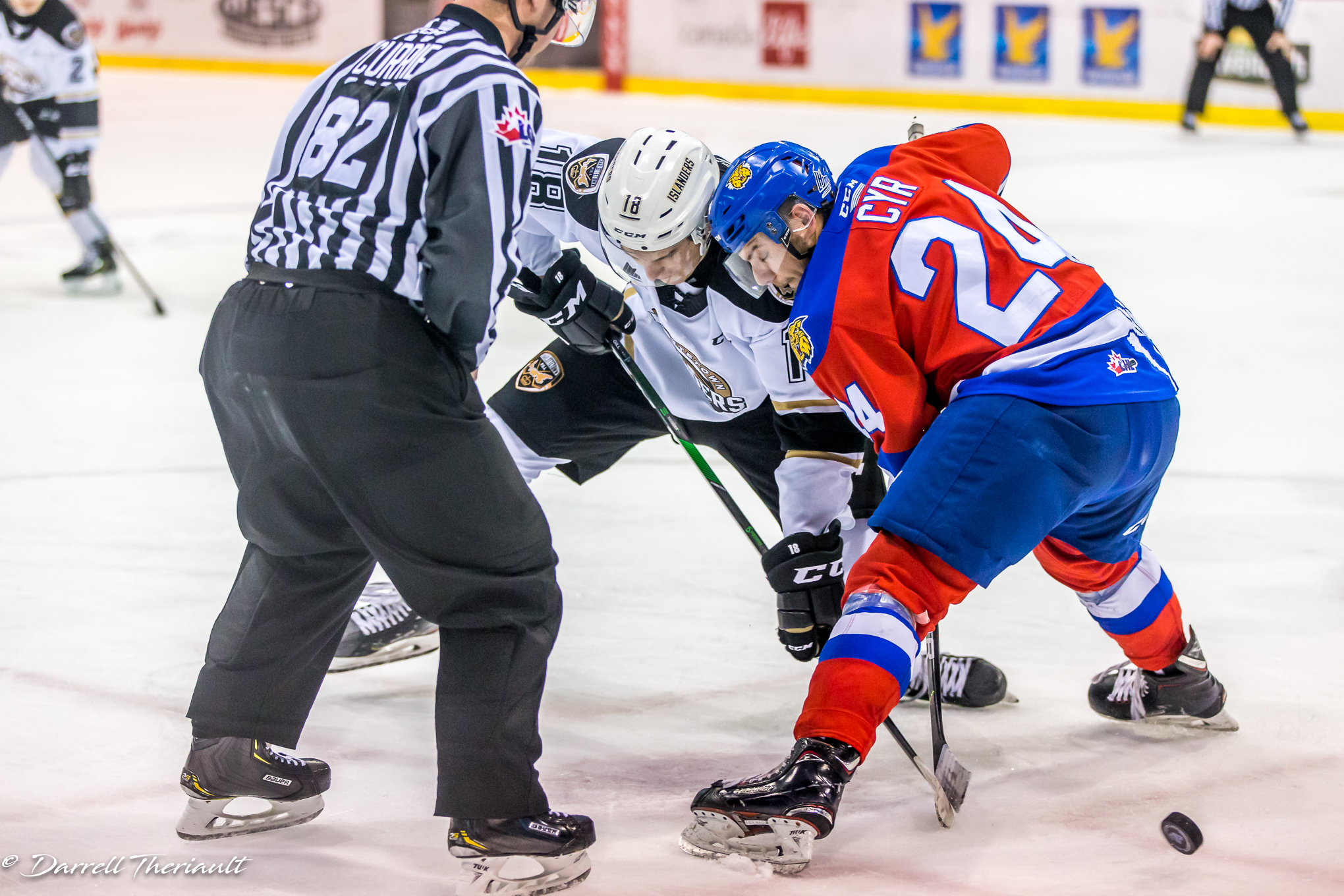 Islanders and Wildcats renew hostilities at Avenir Centre ...