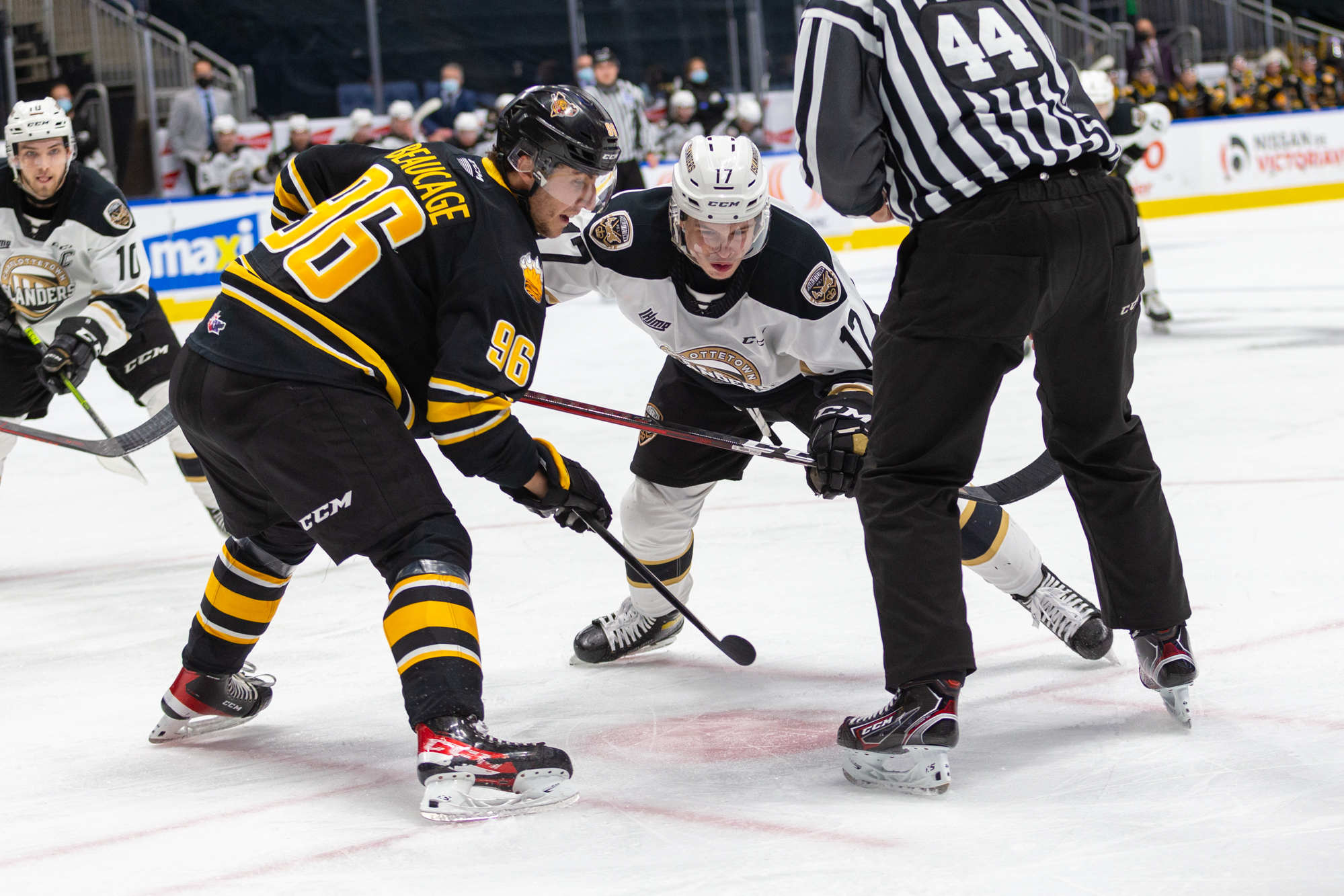 Isles show resolve but can't overcome Tigres, who force Game 5 ...