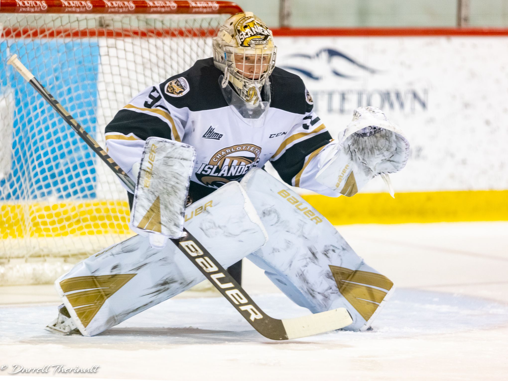 Colten Ellis wins the 2020-21 Jacques-Plante Trophy - Charlottetown ...