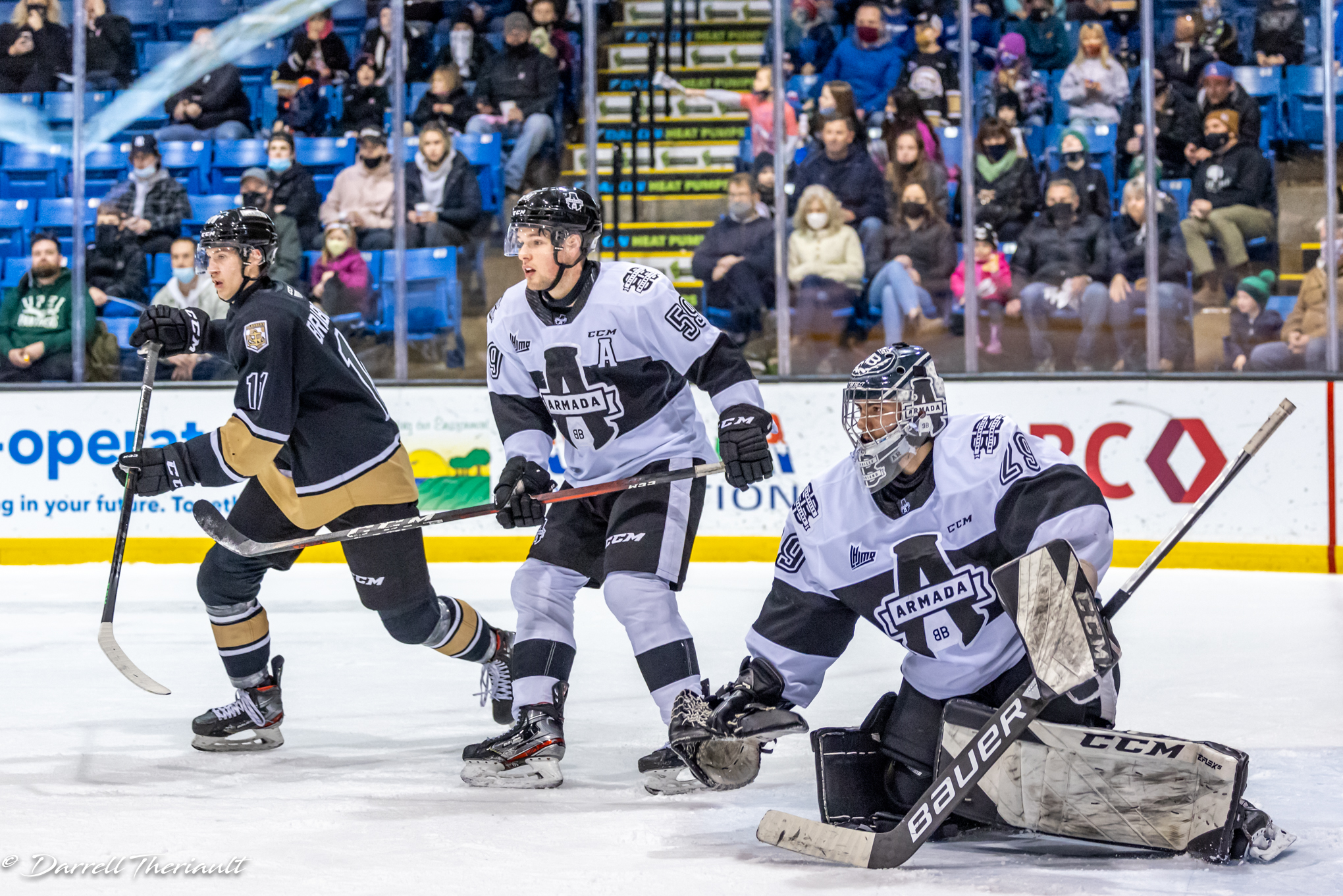 Preview | November 5 vs Blainville-Boisbriand Armada - Charlottetown ...