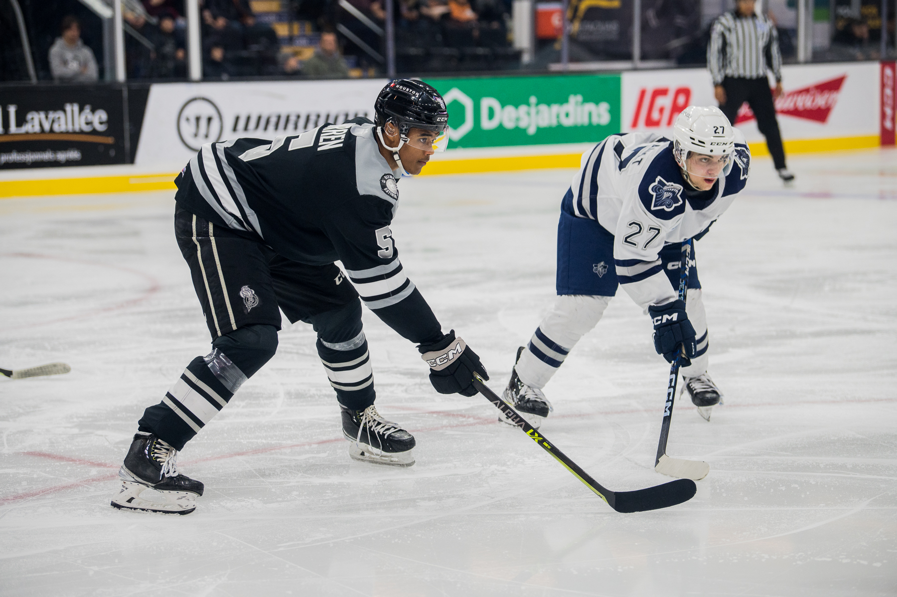 Noah Warren ratera de 4 à 6 semaines - Les Olympiques de Gatineau