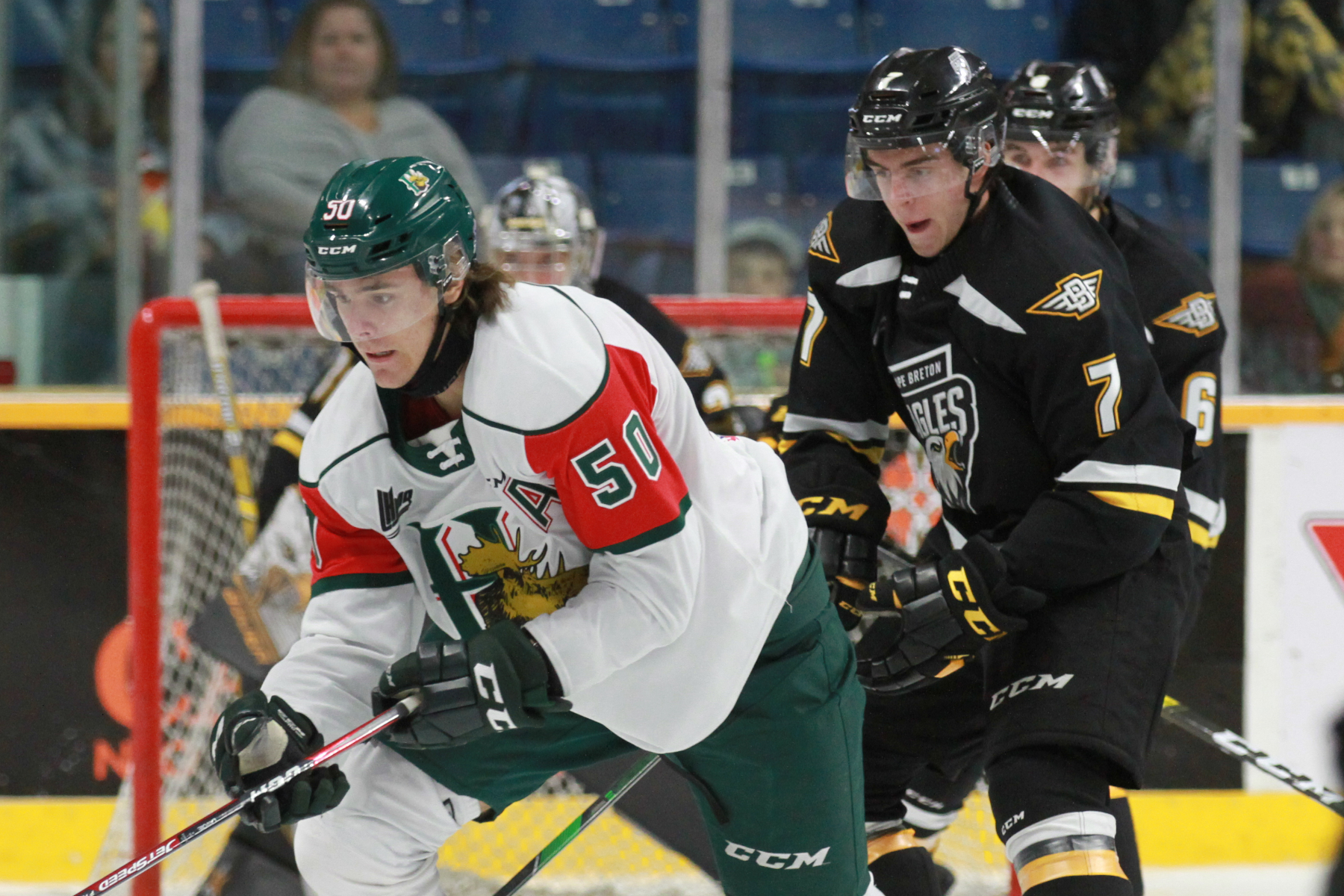 Winning Streak Snapped in Sydney - Halifax Mooseheads