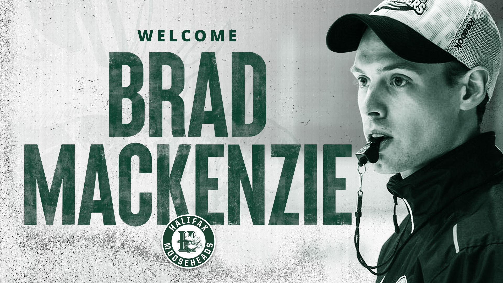Brad MacKenzie named Assistant Coach - Halifax Mooseheads