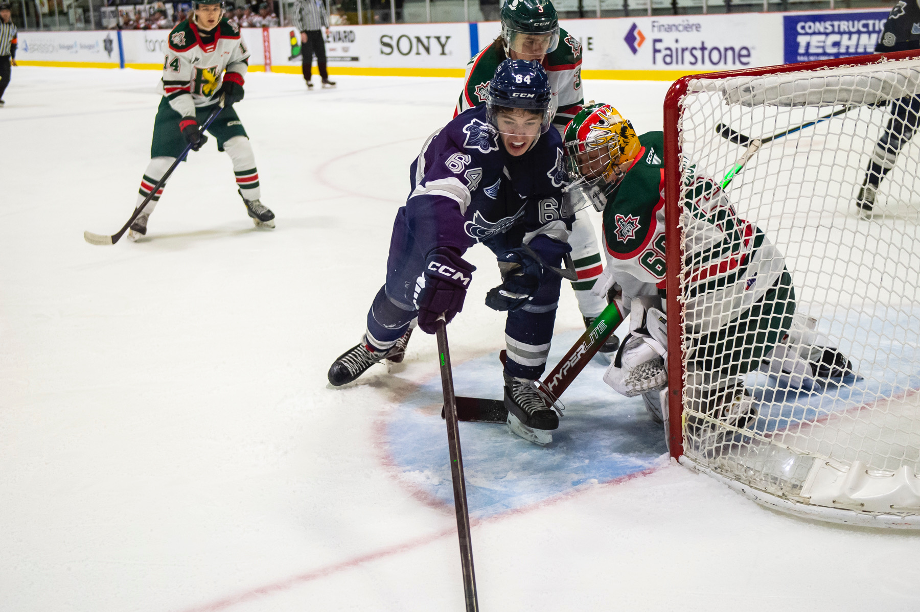 Josh Lawrence Dazzles in Moose Debut - Halifax Mooseheads