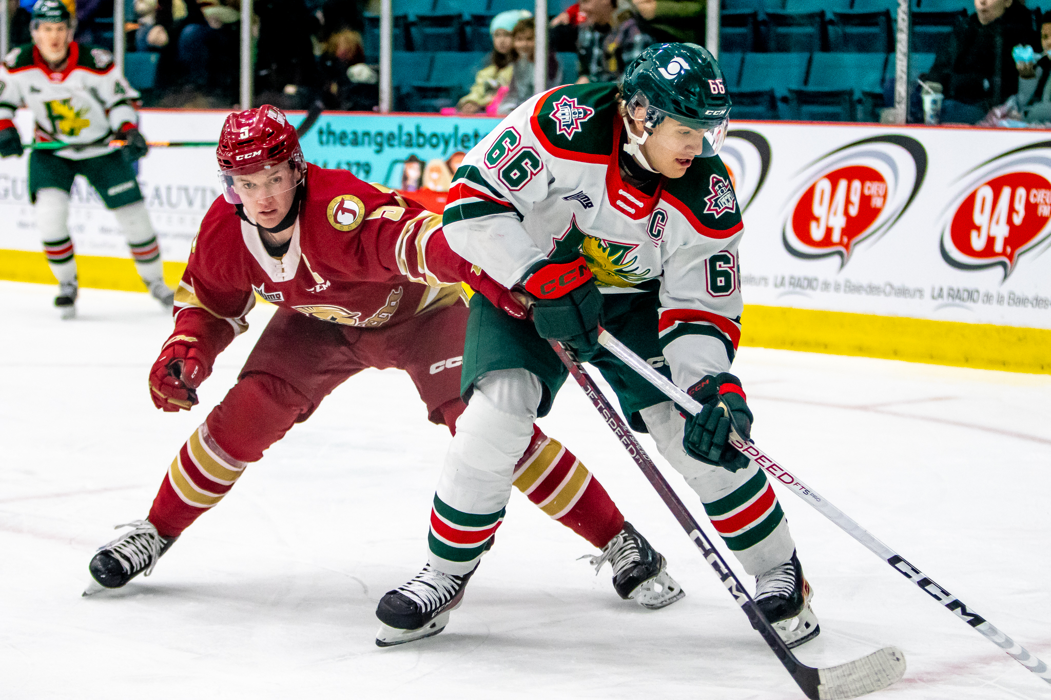Doucet nets 3 points in Moose debut - Halifax Mooseheads