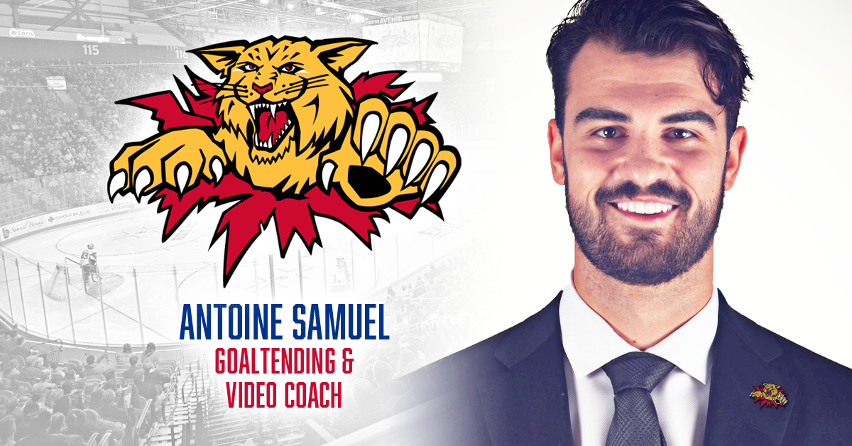 Wildcats welcome Antoine Samuel as the team's new Goaltending and Video ...