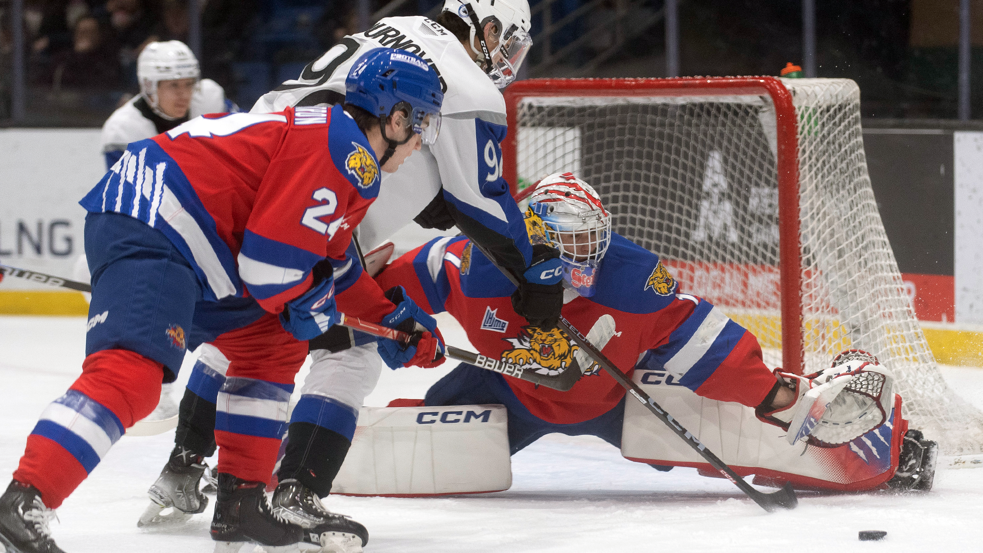 Cats grab needed 'W', down Dogs in Port City - Moncton Wildcats